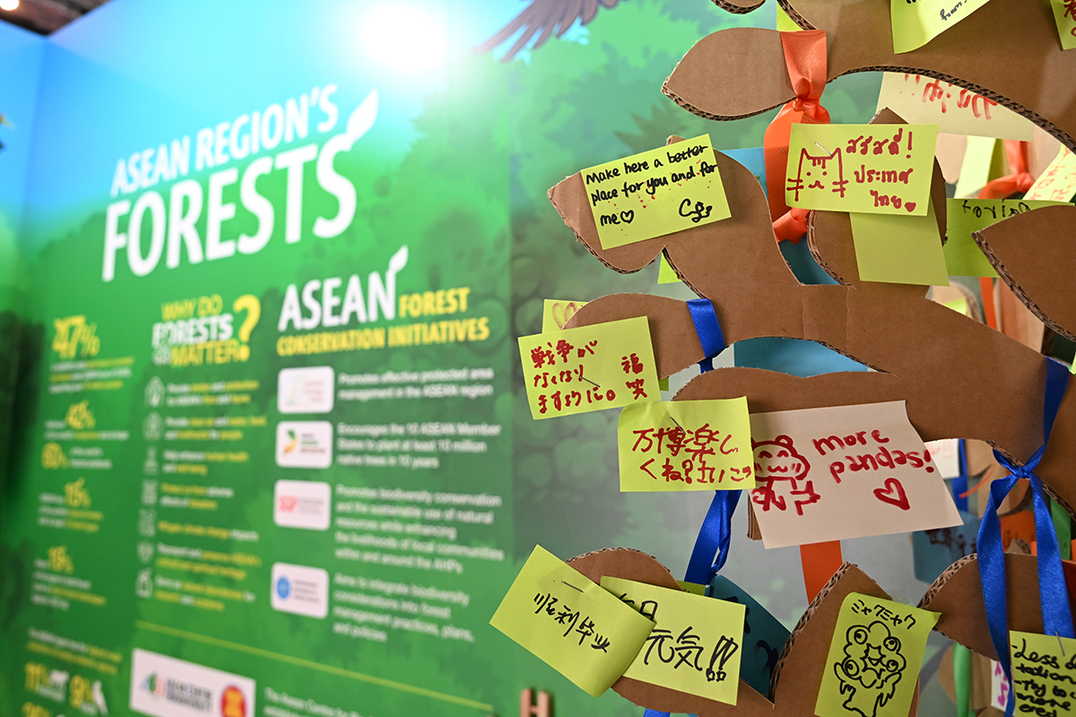 Southeast Asian group members see Japan as long-standing ally | The ...